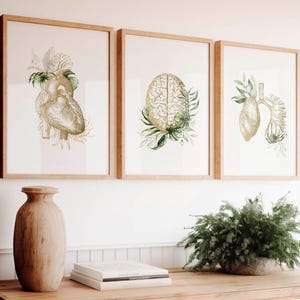 Organ Art, Lungs Wall Art, Human Heart Anatomy Poster, Brain Watercolor ...