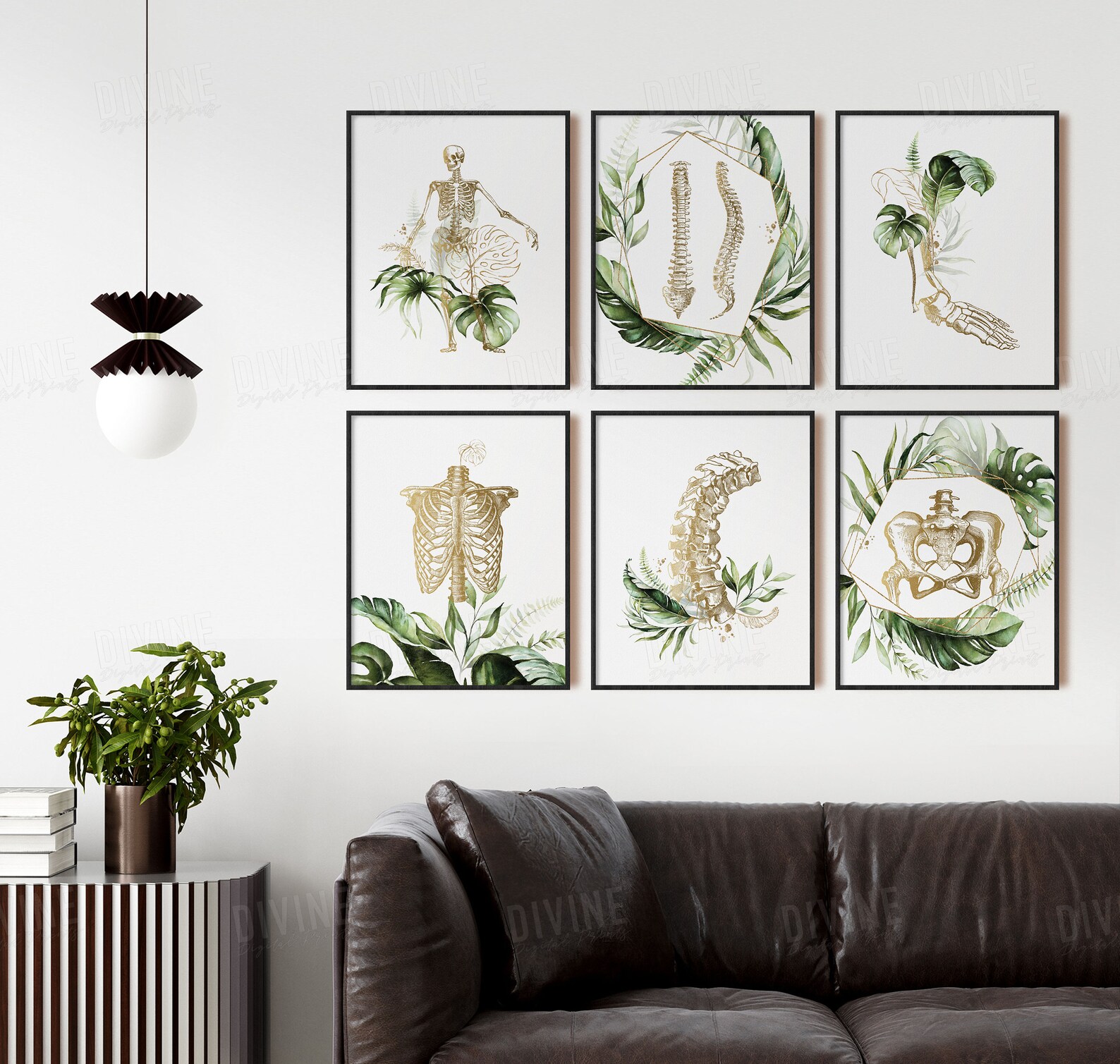 Chiropractic Wall Art Chiro Clinic Decor Spine Human Anatomy - Etsy