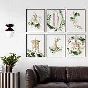 Chiropractic Wall Art, Chiro Clinic Decor, Spine Human Anatomy Art ...