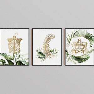 Chiropractic Wall Art, Chiro Clinic Decor, Spine Human Anatomy Art ...