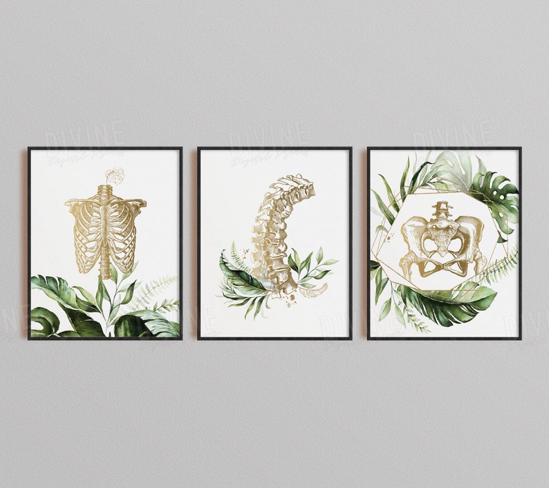 Chiropractic Wall Art Chiro Clinic Decor Spine Human Anatomy - Etsy