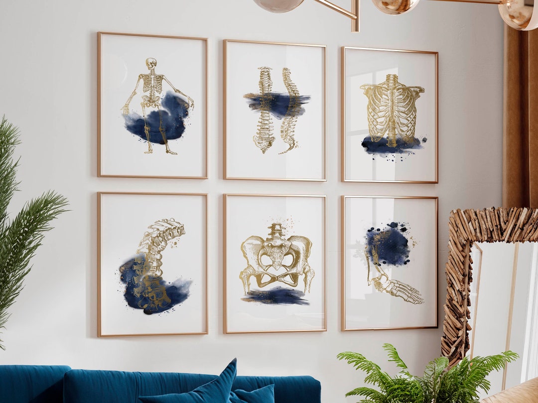 Chiropractic Posters Physical Therapy Art for Orthopedic Offices Sports ...