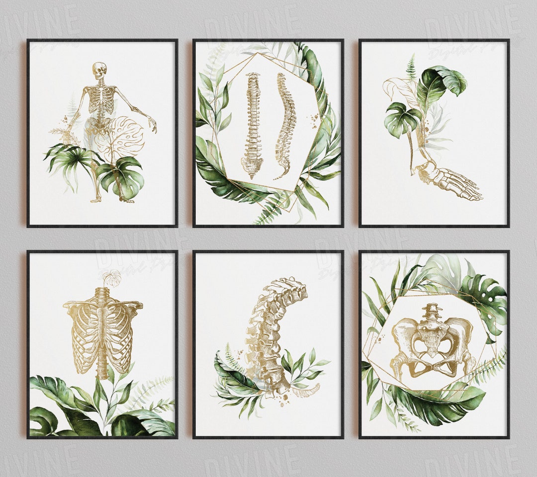 Chiropractic Wall Art, Chiro Clinic Decor, Spine Human Anatomy Art ...