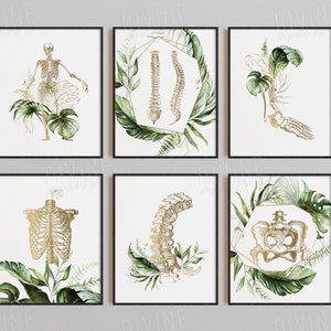 Chiropractic Wall Art Chiro Clinic Decor Spine Human Anatomy - Etsy