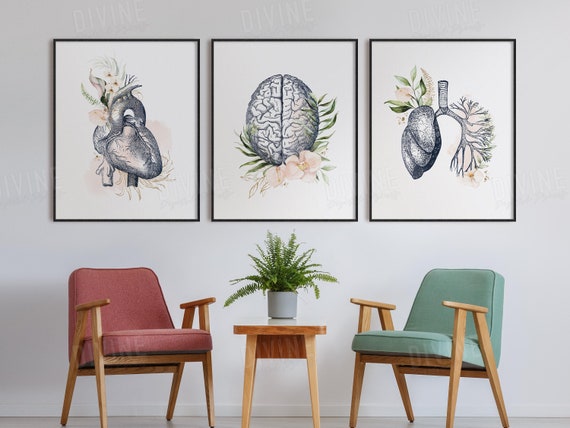 Watercolor Anatomy Art Heart Brain Lungs Anatomy Poster Set - Etsy