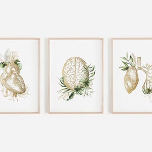 Organ Art, Lungs Wall Art, Human Heart Anatomy Poster, Brain Watercolor ...