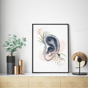 Ear Wall Art, Audiology Poster, Human Ear Anatomy Print, ENT Doctor ...