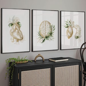 Organ Art, Lungs Wall Art, Human Heart Anatomy Poster, Brain Watercolor ...
