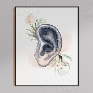 Ear Wall Art, Audiology Poster, Human Ear Anatomy Print, ENT Doctor ...