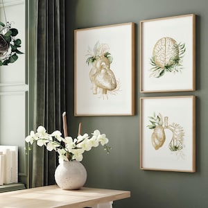 Organ Art, Lungs Wall Art, Human Heart Anatomy Poster, Brain Watercolor ...