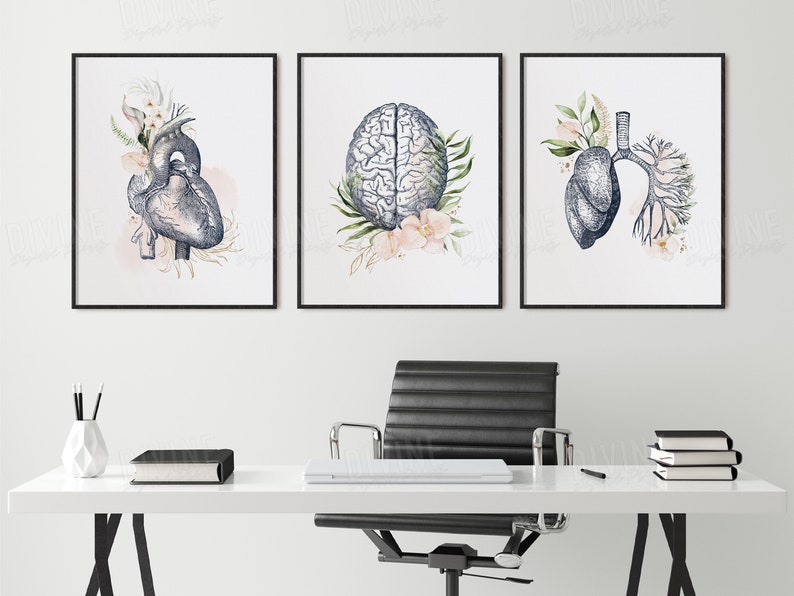 Watercolor Anatomy Art Heart Brain Lungs Anatomy Poster Set - Etsy