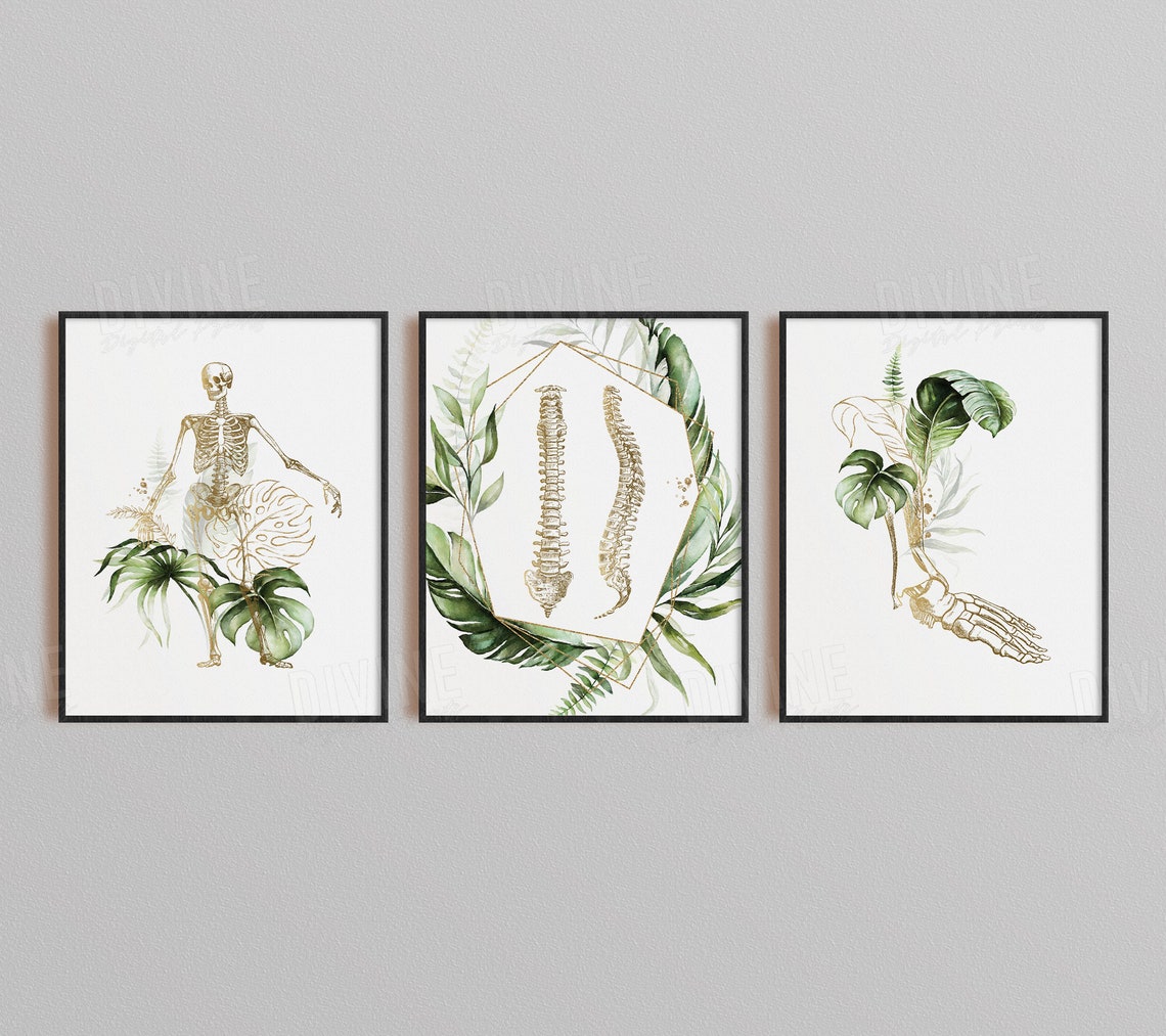 Chiropractic Wall Art Chiro Clinic Decor Spine Human Anatomy - Etsy