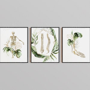 Chiropractic Wall Art, Chiro Clinic Decor, Spine Human Anatomy Art ...