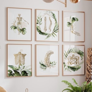 Chiropractic Wall Art, Chiro Clinic Decor, Spine Human Anatomy Art ...