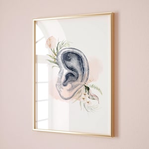 Ear Wall Art, Audiology Poster, Human Ear Anatomy Print, ENT Doctor ...