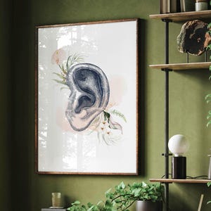 Ear Wall Art, Audiology Poster, Human Ear Anatomy Print, ENT Doctor ...