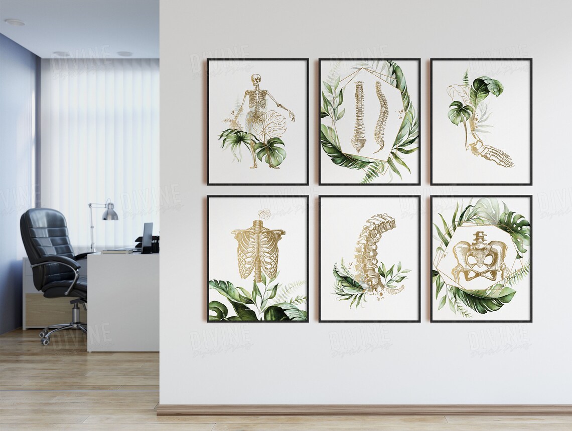Chiropractic Wall Art Chiro Clinic Decor Spine Human Anatomy - Etsy
