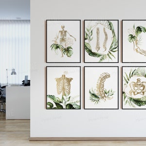 Chiropractic Wall Art, Chiro Clinic Decor, Spine Human Anatomy Art ...