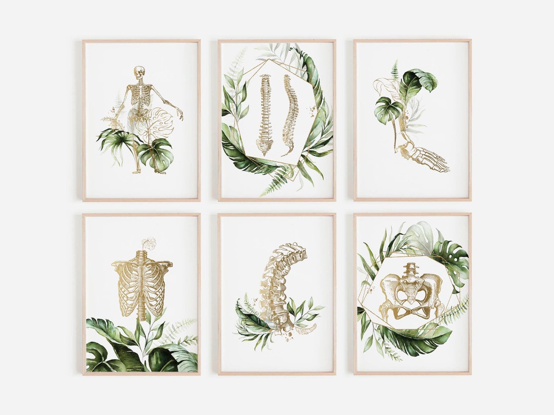 Chiropractic Wall Art, Chiro Clinic Decor, Spine Human Anatomy Art ...