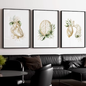 Organ Art, Lungs Wall Art, Human Heart Anatomy Poster, Brain Watercolor ...