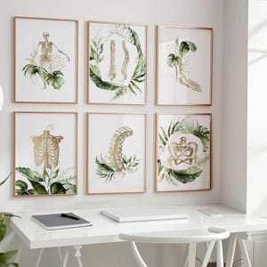 Chiropractic Wall Art, Chiro Clinic Decor, Spine Human Anatomy Art ...