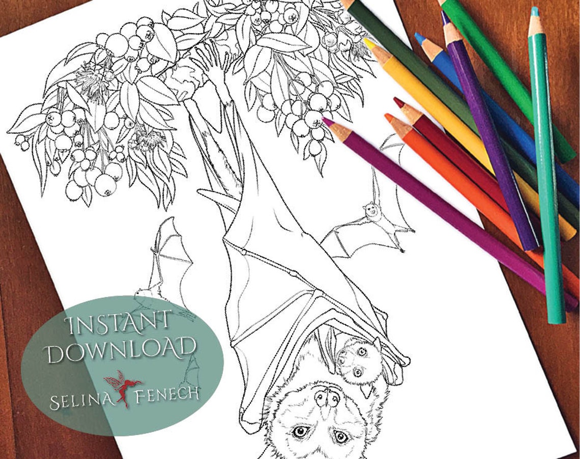Flying Fox Australian Animals and Wildflowers Coloring Page/digi Stamp ...