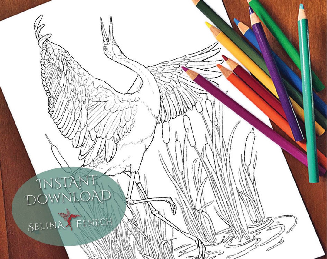 Brolga Australian Animals and Wildflowers Coloring Page/digi Stamp ...