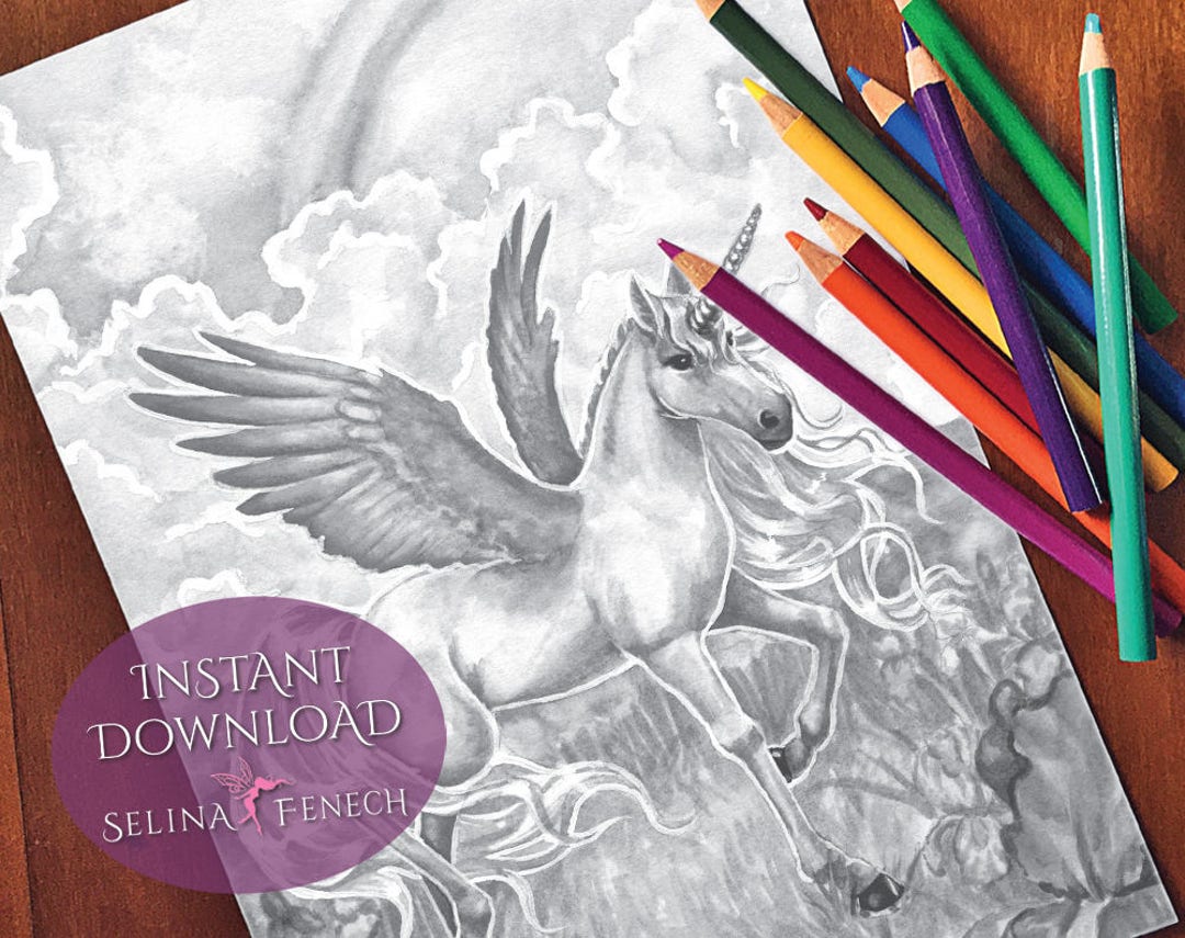Rainbow Wings Unicorn Sisters Fairy Art Grayscale Coloring Page/digi ...