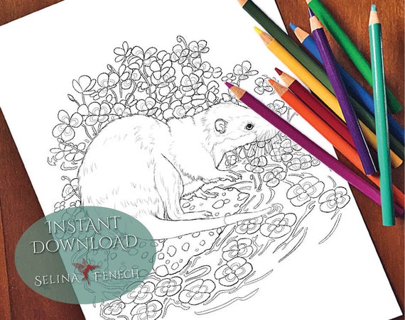 Rakali Australian Animals and Wildflowers Coloring Page/digi | Etsy ...