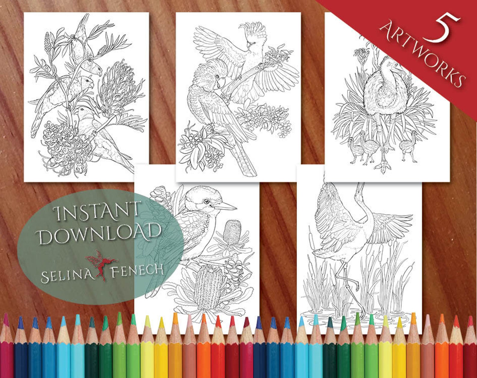 Australian Animals and Wildflowers Birds Coloring Page/digi - Etsy
