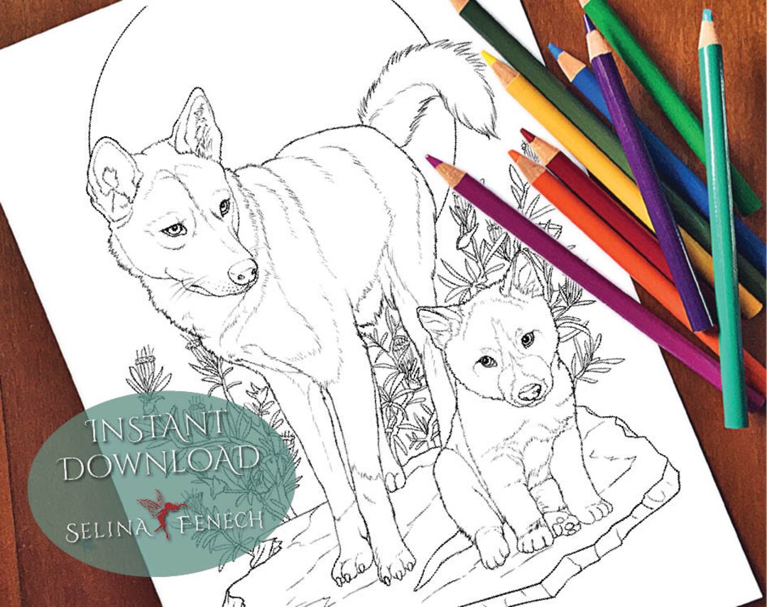 Dingo Australian Animals and Wildflowers Coloring Page/digi Stamp ...