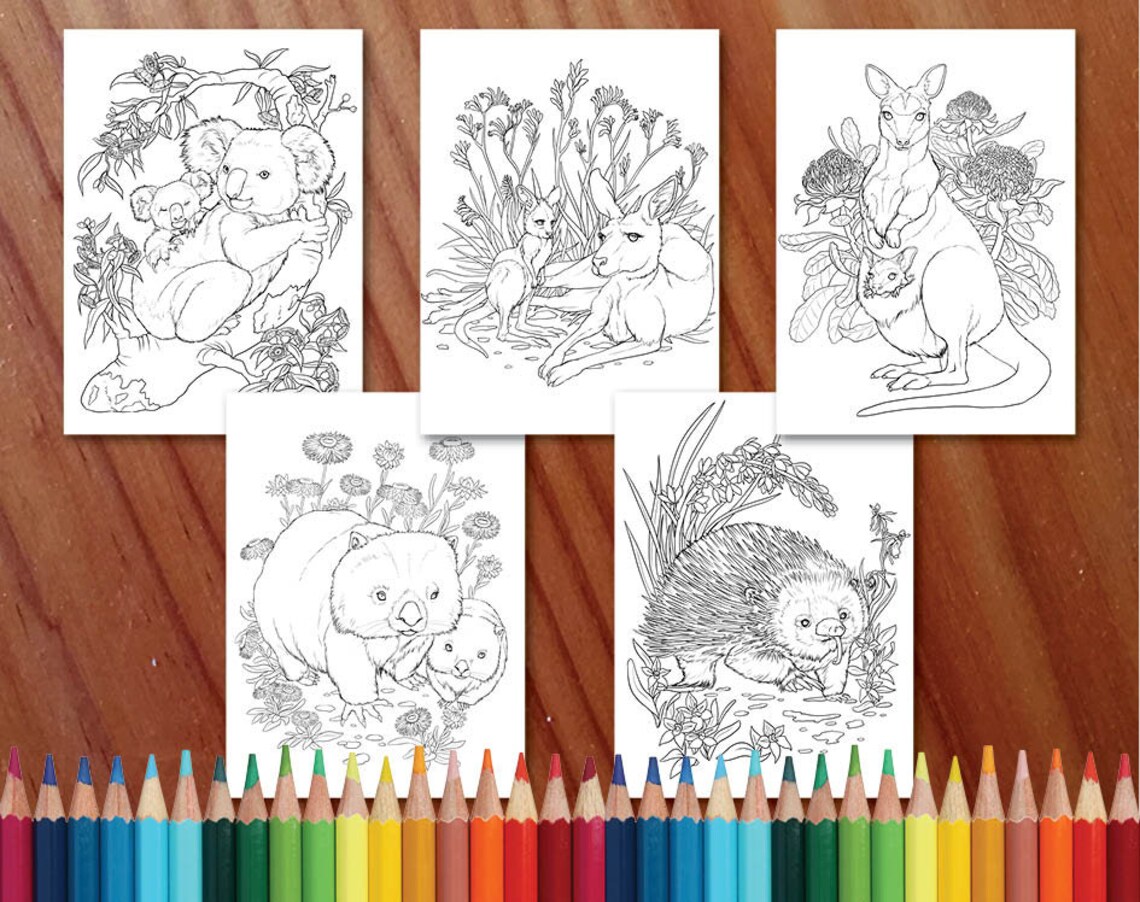Australian Animals and Wildflowers Colouring Collection | Etsy