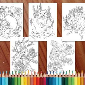 Australian Animals and Wildflowers Colouring Collection Coloring Page ...