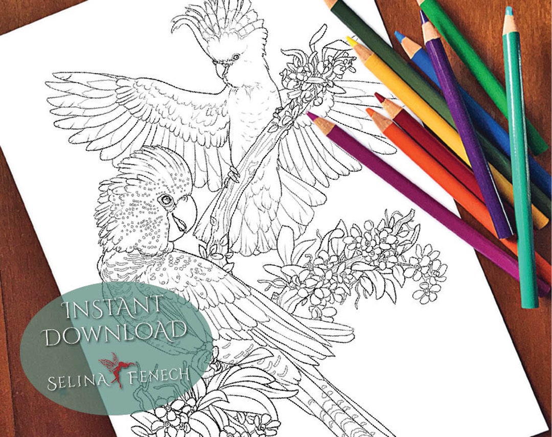 Cockatoo Coloring Pages
