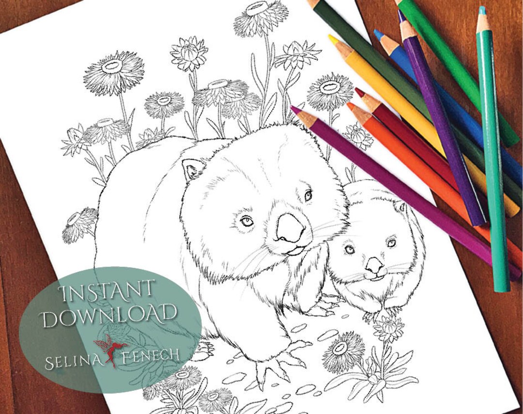 Wombat Australian Animals and Wildflowers Coloring Page/digi Stamp ...