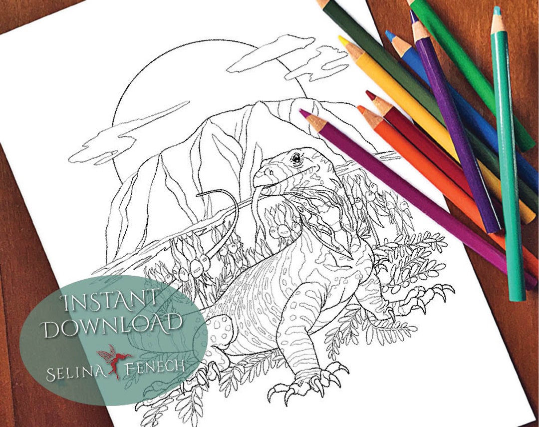 Goanna Australian Animals and Wildflowers Coloring Page/digi Stamp ...