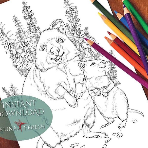 Quokka Coloring Page - Etsy