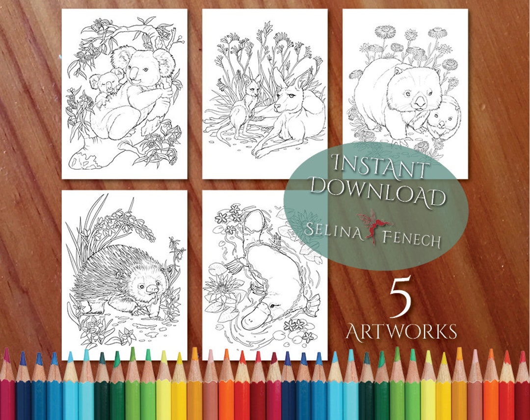 Australian Animals and Wildflowers Iconic Koala Coloring Page/digi ...