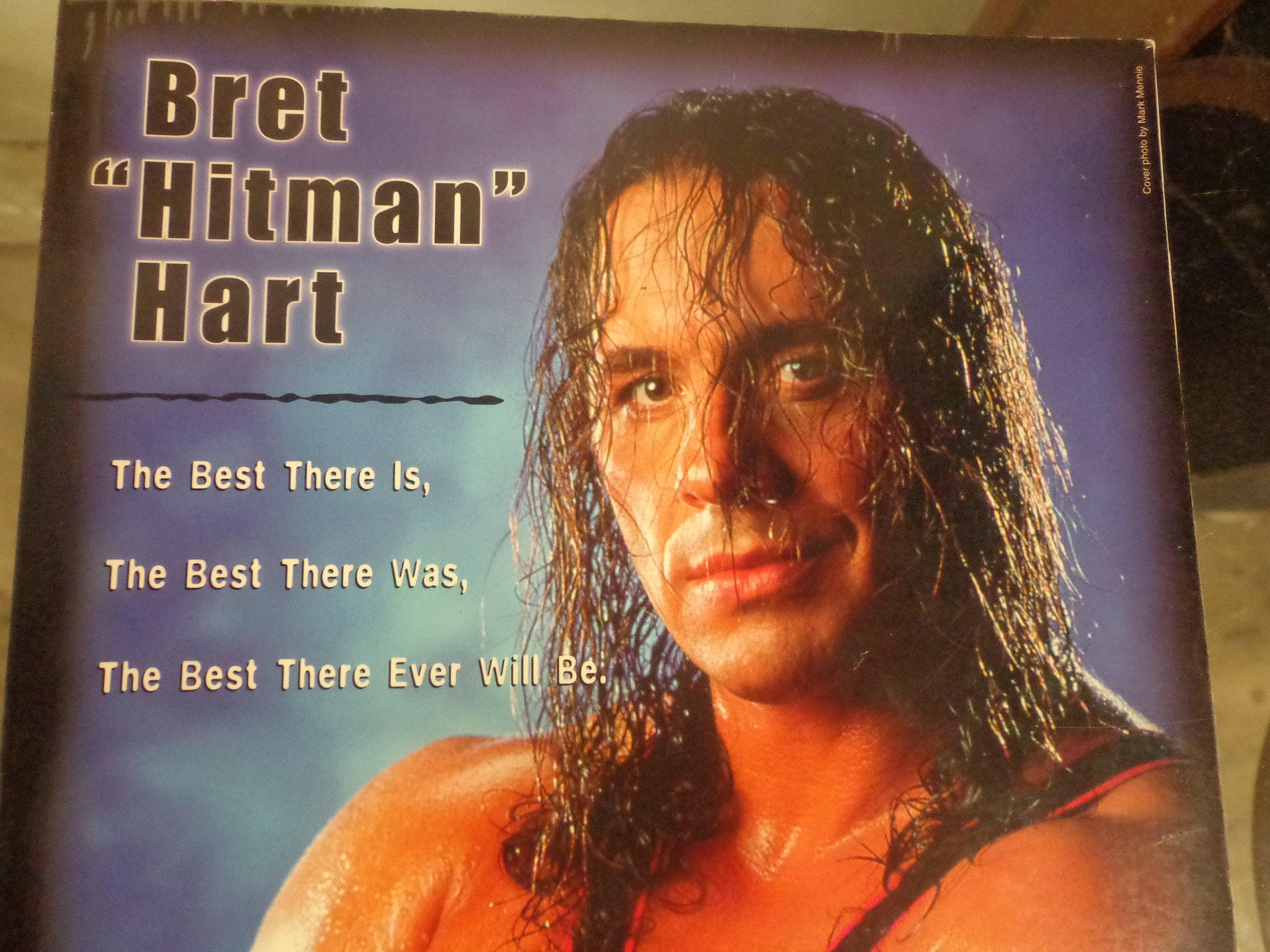 Bret hitman Hart: the Best There Is, the Best There Was, the Best There ...