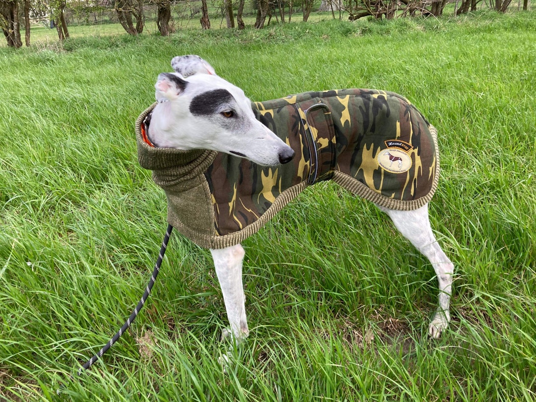 Sweater/jumper/coat/fleece for Greyhounds, Lurchers & Whippets, Camo ...