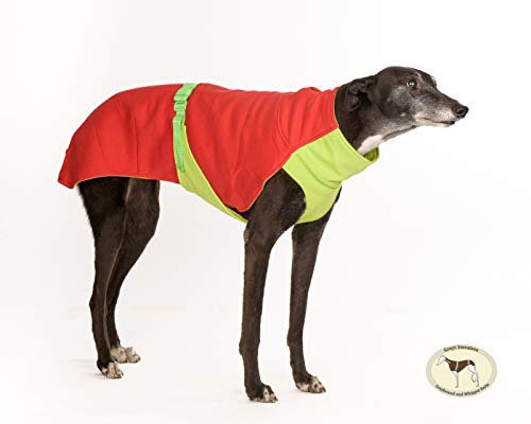 T-shirt/sweatshirt Coat for Greyhounds, Lurchers & Whippets, Greyt ...