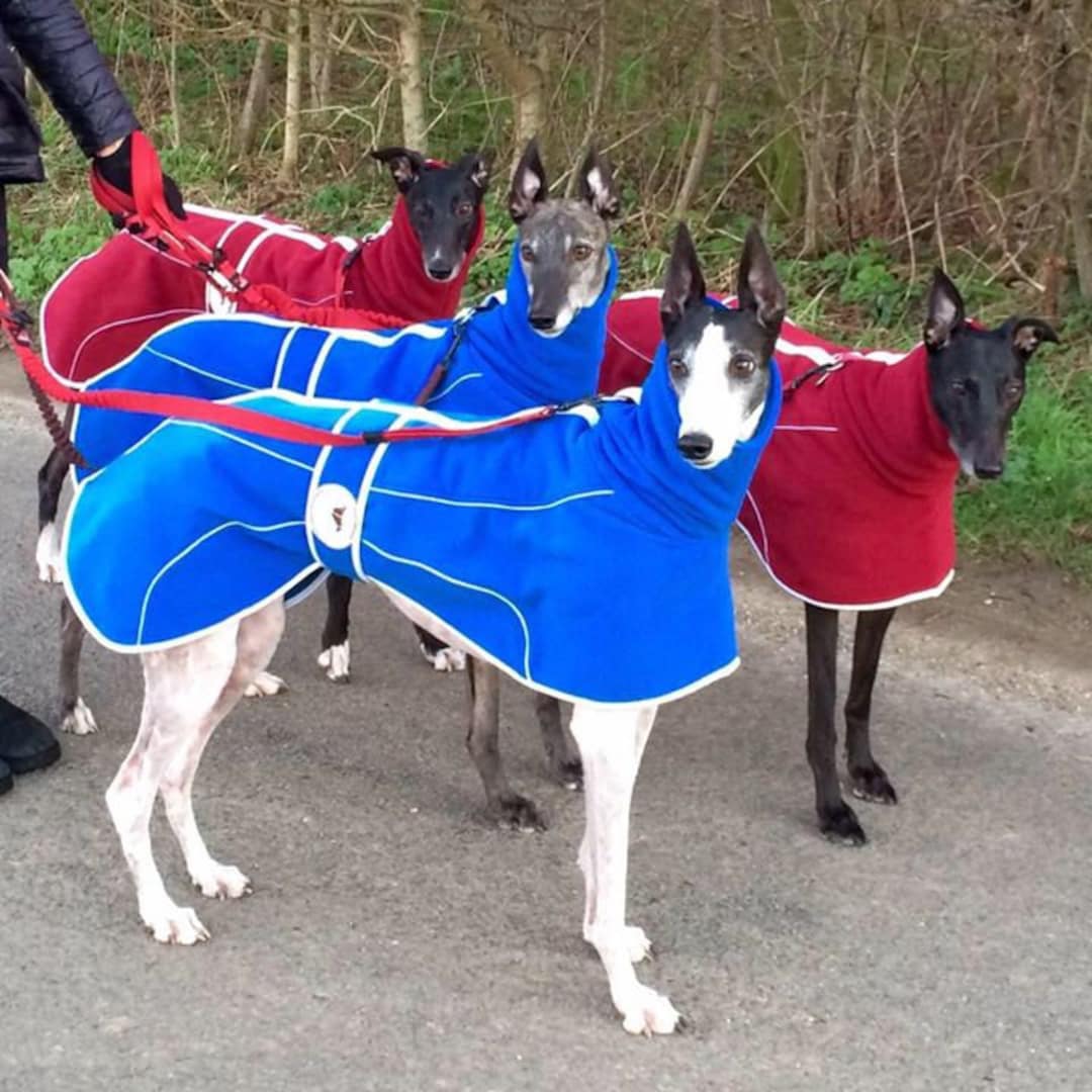 Greyhound & Whippet Original Fleece Housecoat by Greyt Sweaters. - Etsy