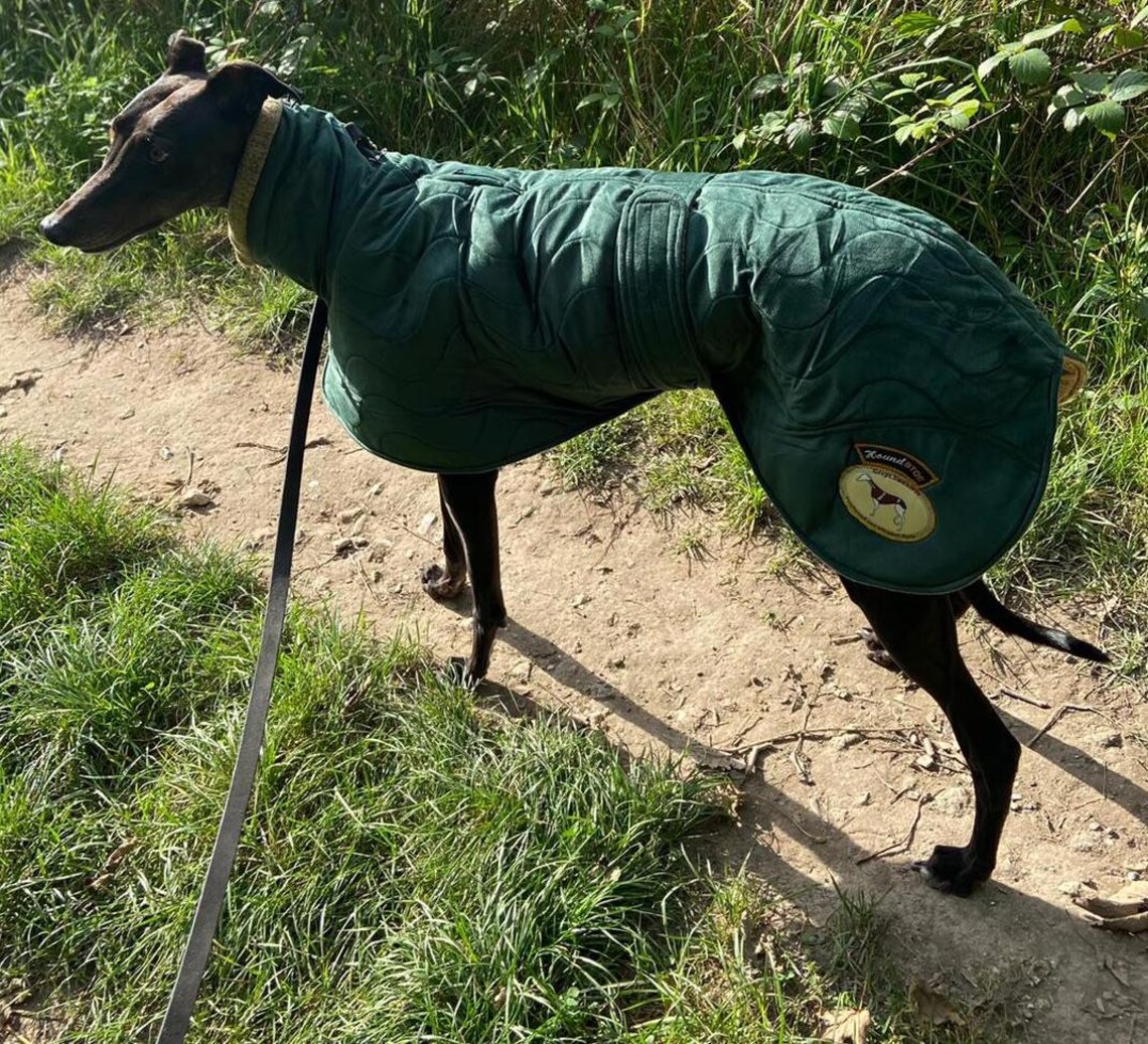 Sweater/jumper/coat/fleece for Greyhounds, Lurchers & Whippets, Regal ...