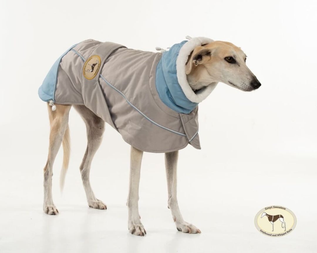 Greyhound Lurcher & Whippet Padded Winter Jacket With Chest Bib, Fleece ...
