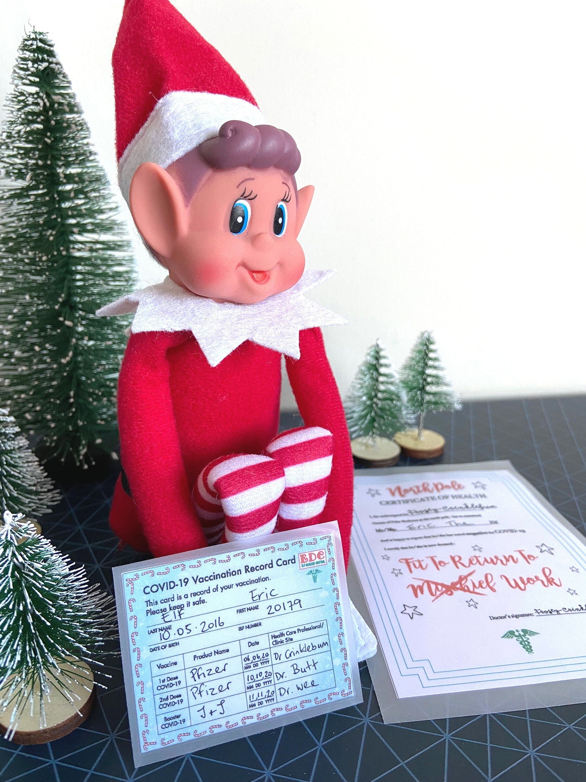 PRINTABLE Elf Props Set, Elf COVID Cert, COVID Elf, Elf Vaccine Record ...