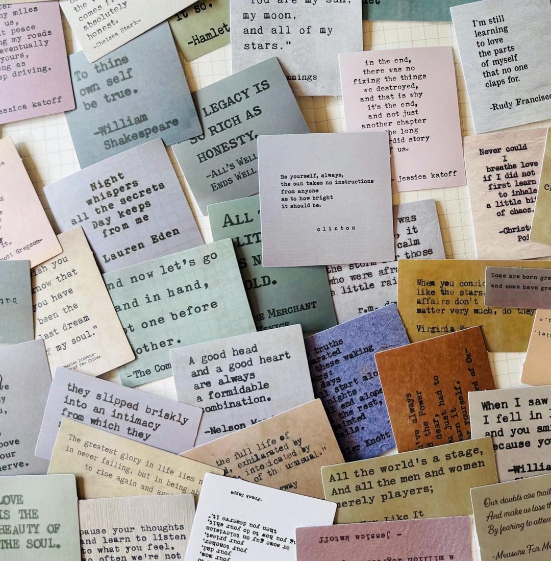 Literature Gift Vinyl Sticker Pack Kindle Gift Book Quote Merch Smut ...