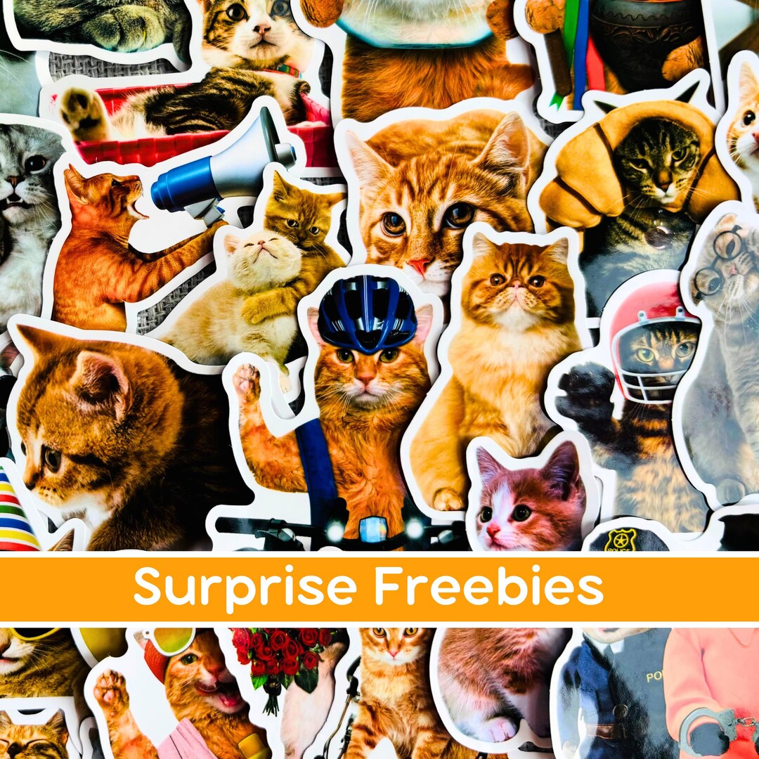 Funny Cat Sticker Bundle, Ginger Cat Meme Vinyl Stickers, Fat Cat ...