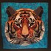 Tiger Paper Piecing Kit - Etsy