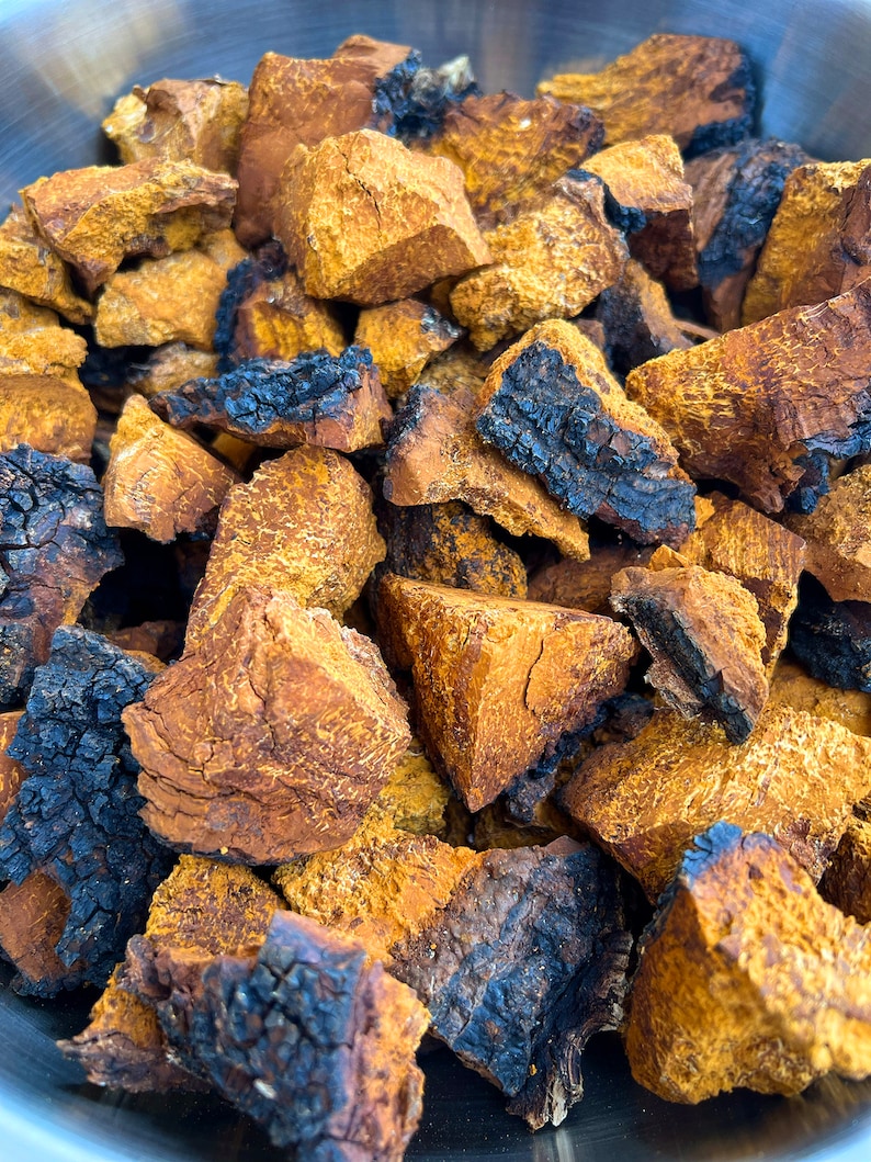 Ground Chaga Mushroom - Etsy