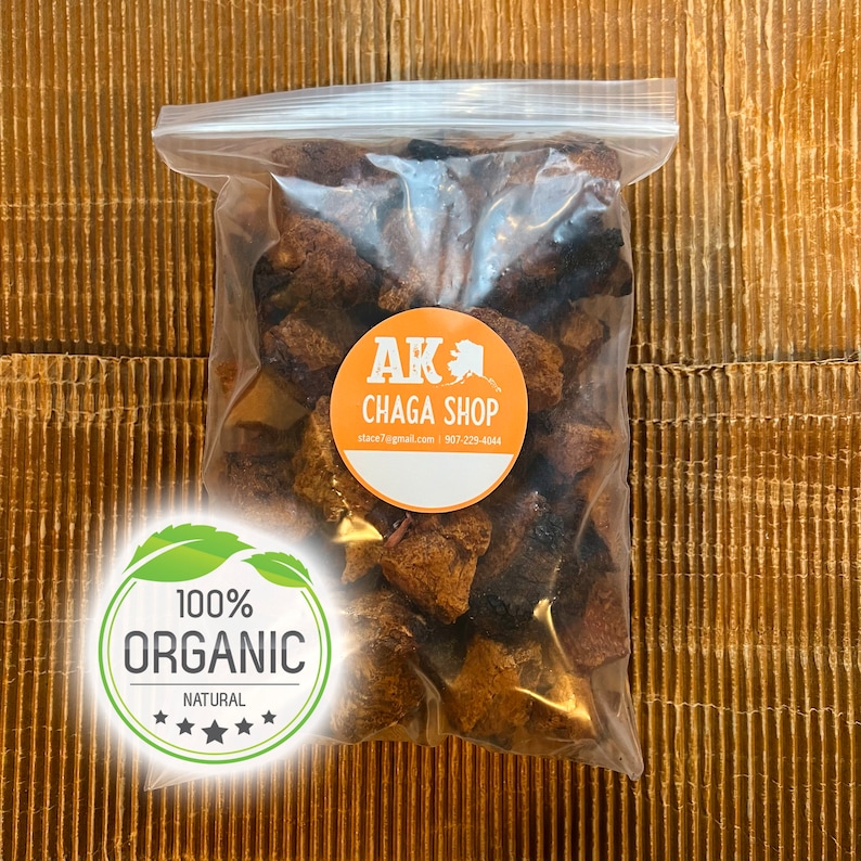 1lb Wild CHAGA Mushroom Dried Chunks for Tea Fresh Organic From Alaska ...